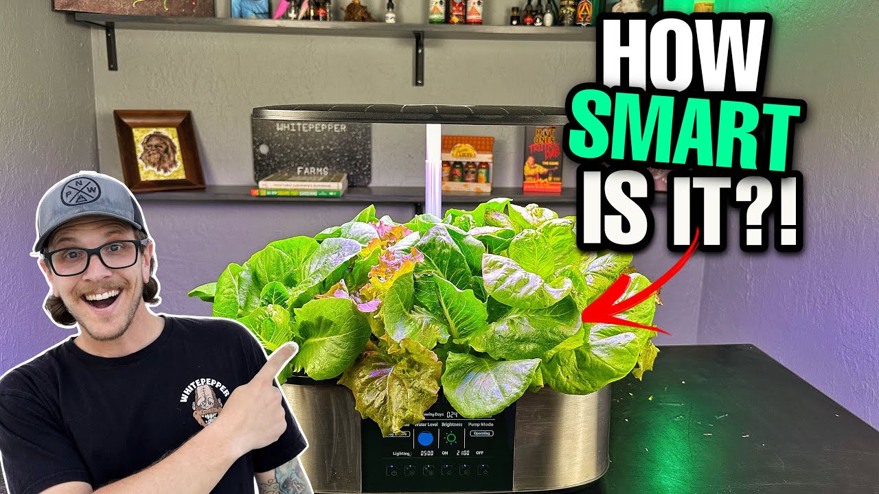 Is This The SMARTEST Hydroponic System? | LetPot 4 In 1 Smart ...