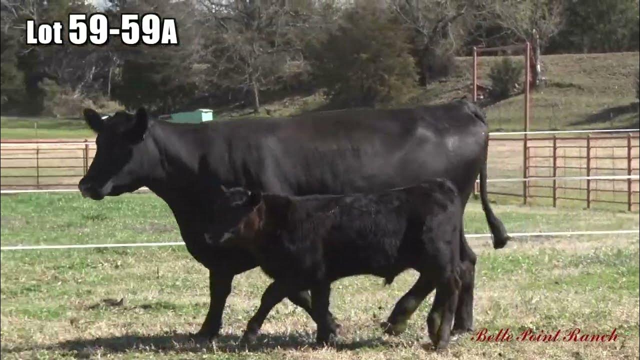 Lot 59 59A - YouTube