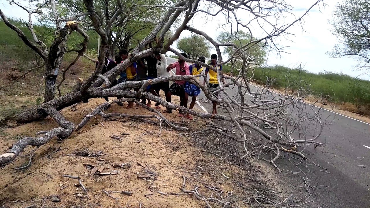 Puliyan kulam - YouTube