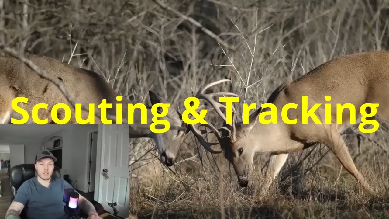 New Hunter Guide - Scouting and Tracking Deer - What to Look For - YouTube