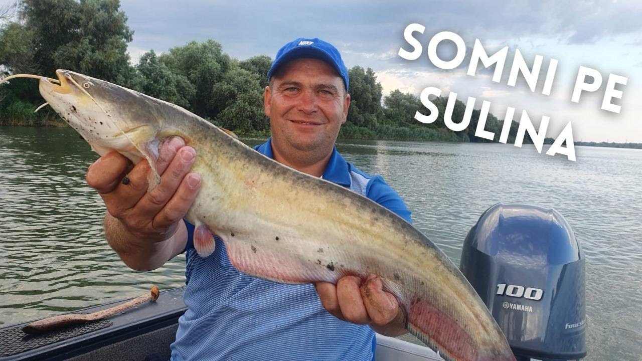 Pescuit la somn cu cloncul in Delta Dunarii, pe bratul Sulina la Mila 8 ...