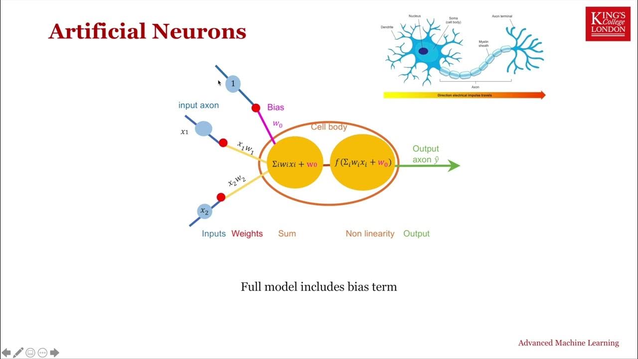 Advanced Machine Learning week 1 part 1: coding neural networks from scratch - YouTube