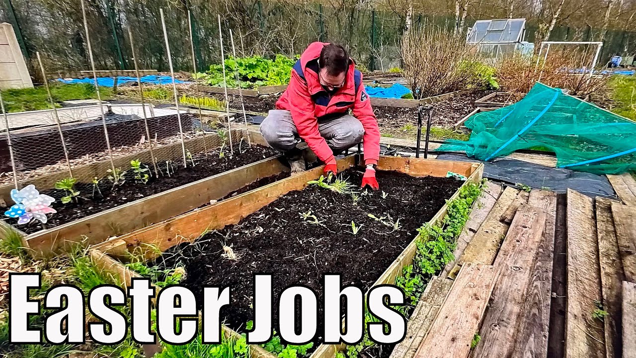 Easter Jobs | What can you do in an hour? | Allotment for Beginners ...