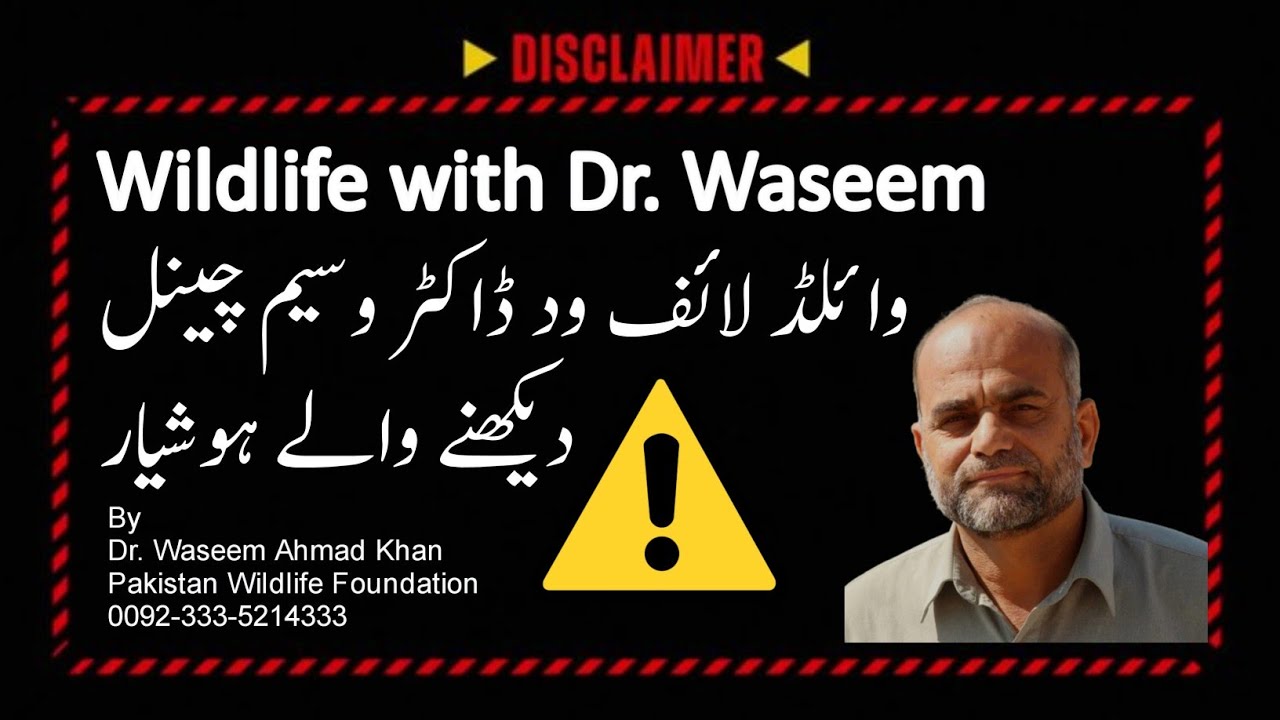 Important Announcement About Wildlife with Dr Waseem YouTube Channel ...
