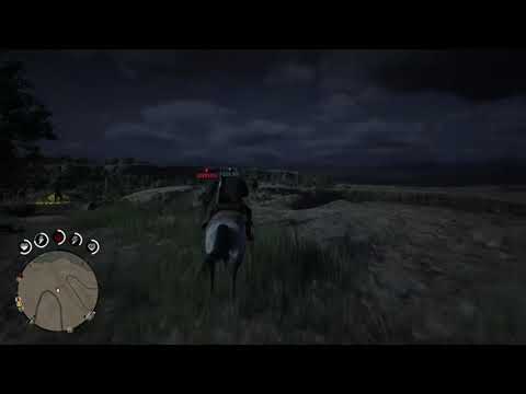 Lakota X prevents a fight by trampling over a homeless man