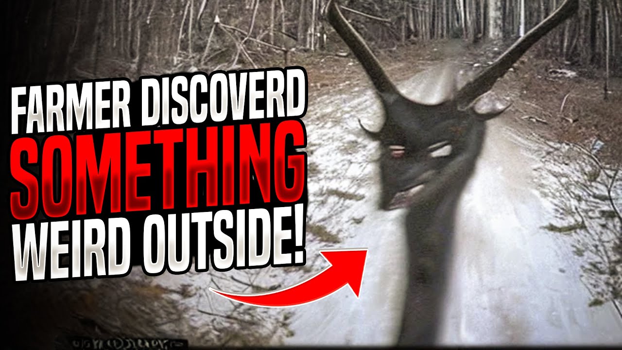 A Farmer Discovered Something Weird Outside His Farm Fields Caught On ...