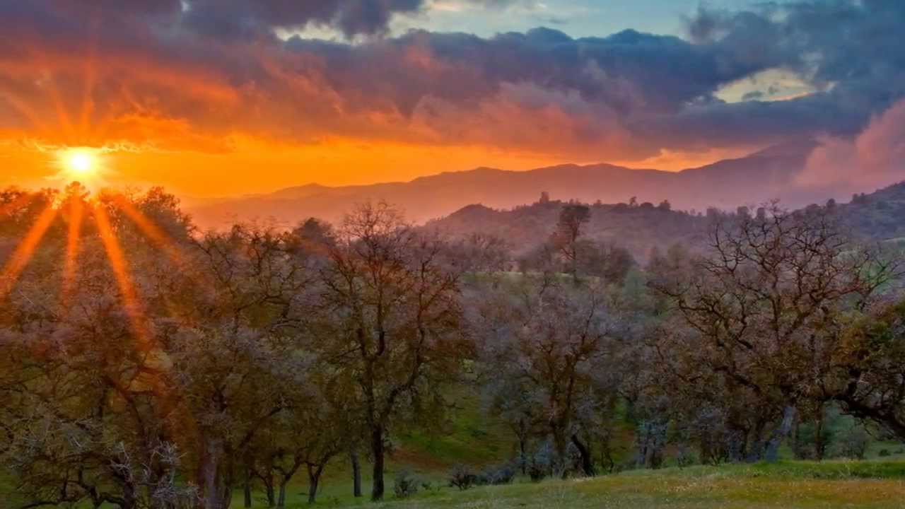 Ludovico Einaudi - Una Mattina - YouTube