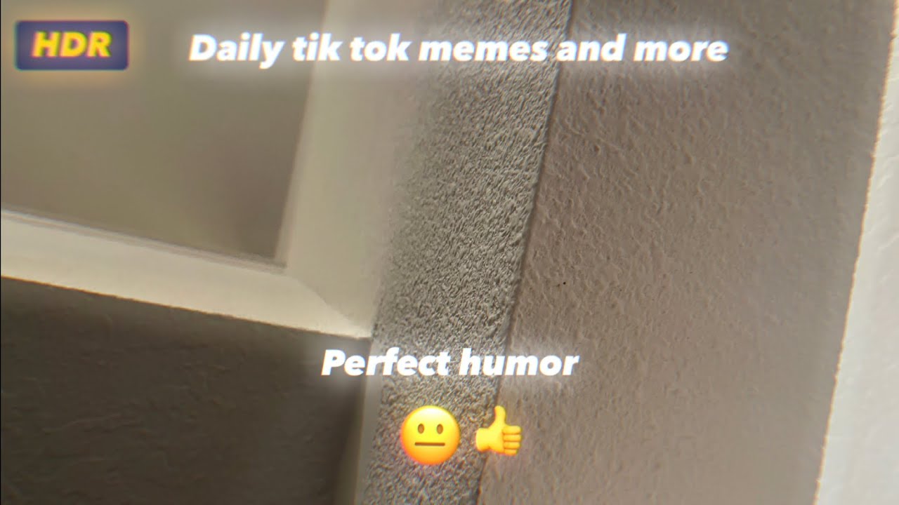 Daily tik tok memes and more the perfect humor - YouTube