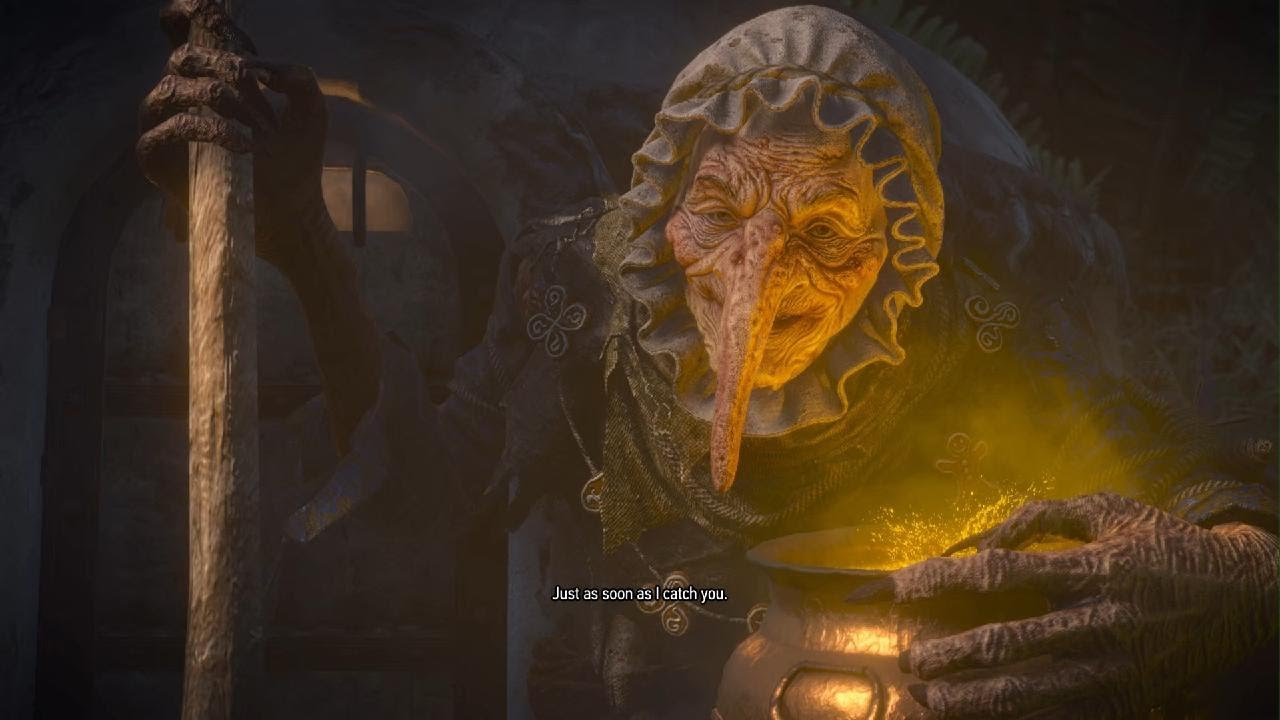 The Witcher 3: Wild Hunt - Complete Edition Wicked Witch(No Damage ...