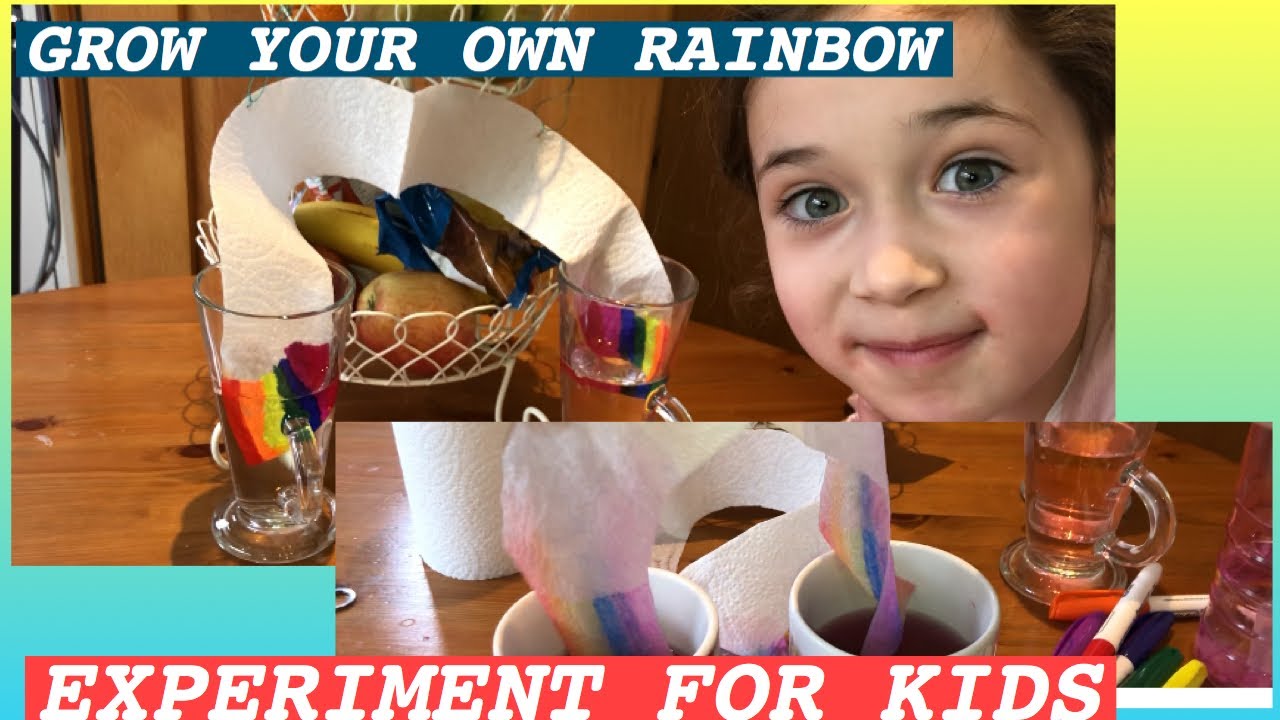 GROW YOUR OWN RAINBOW AT HOME EXPERIMENT FOR KIDS RAINBOW GROW grow-your-own-rainbow-at-home-experiment-for-kids-rainbow-grow