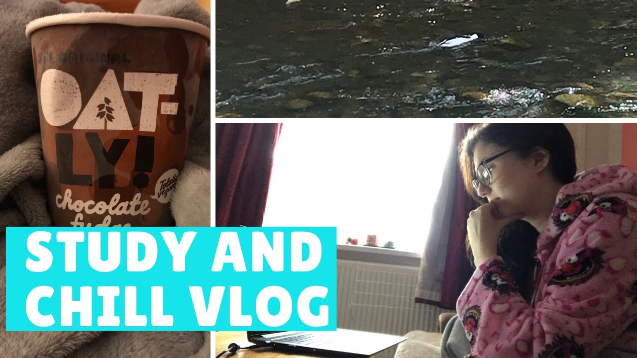 Study and chill vlog - YouTube