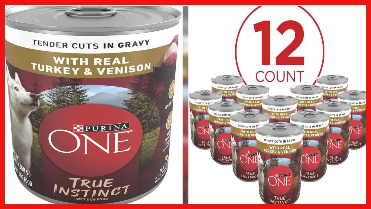 Purina ONE SmartBlend True Instinct Adult Canned Wet Dog Food - YouTube