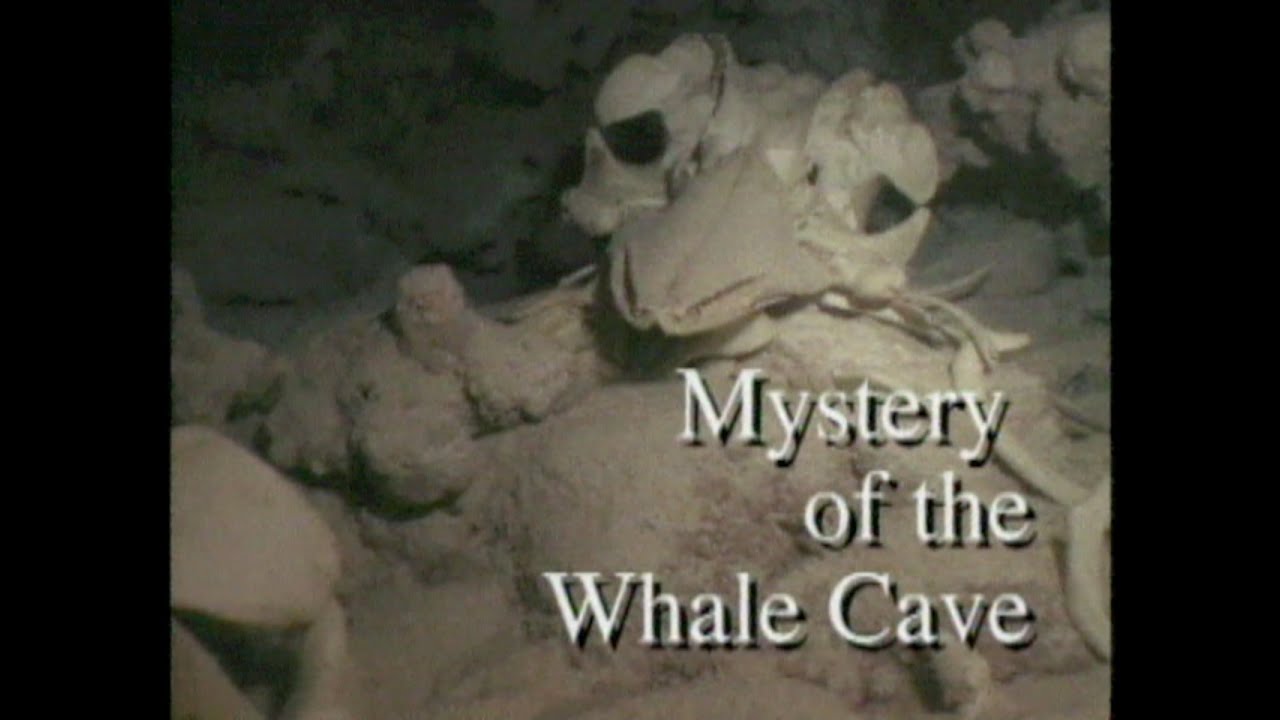 Mystery of the Whale Cave - YouTube