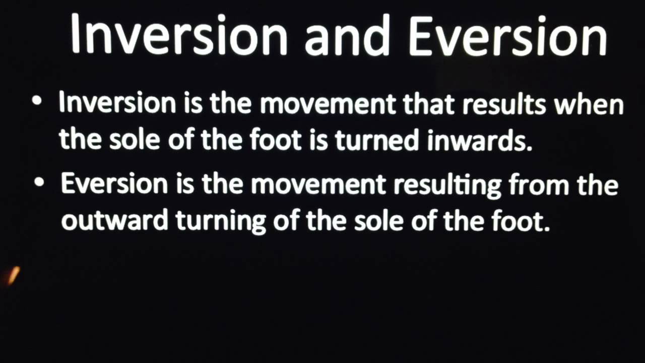 anatomy muscle movement project - YouTube