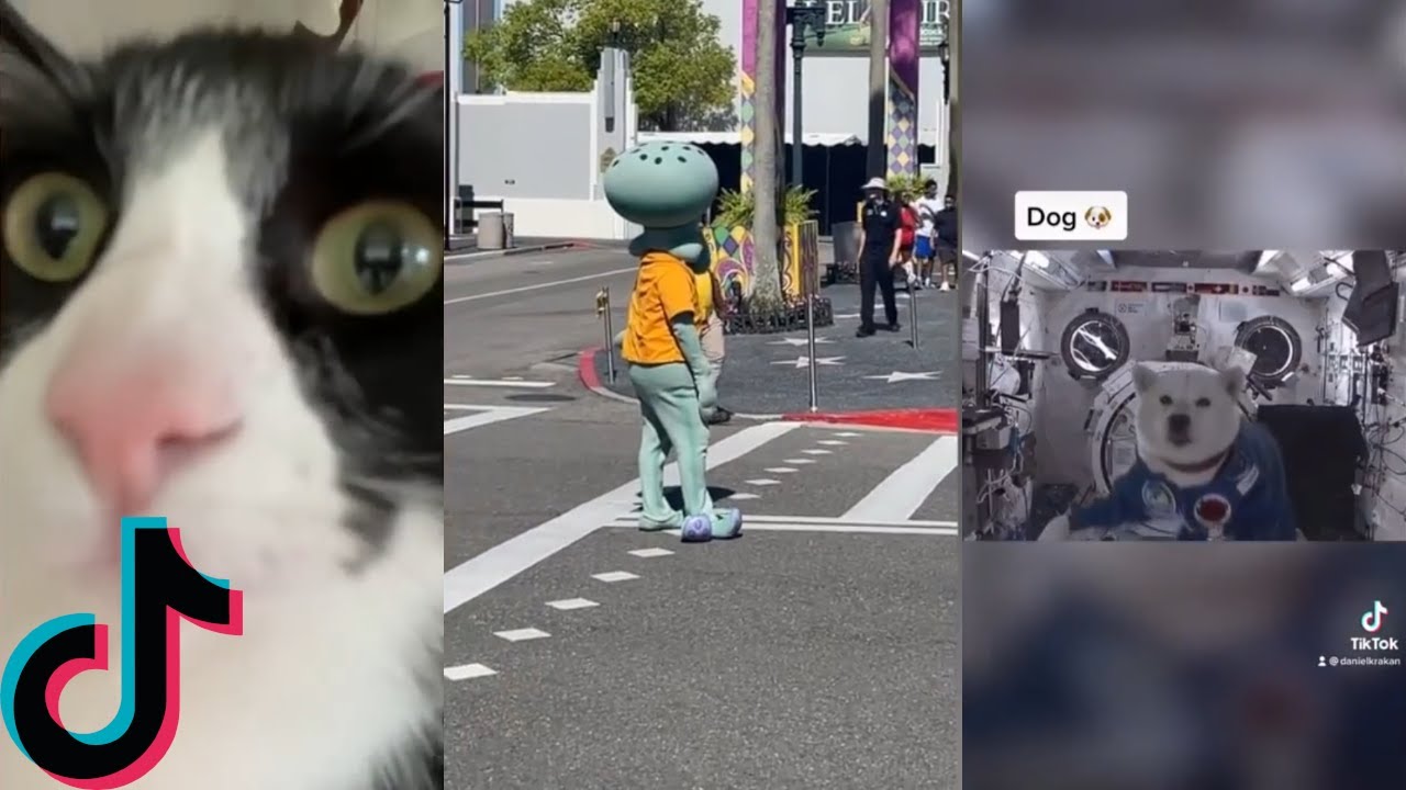Funny Tik Toks Extreme | Ultimate Tik Tok Compilation 2022 - YouTube