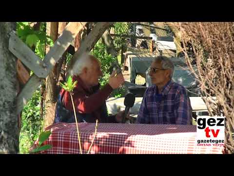 Piknik için güzel yerlerden biri olan Bayınlar Piknik alanında söyleşi