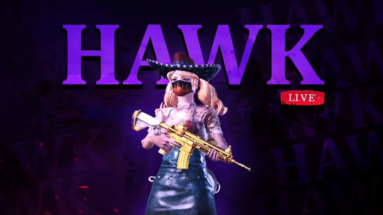 20K GRANDS⚡️ FINALS POV HAWK IS LIVE #bgmi #livestream - YouTube
