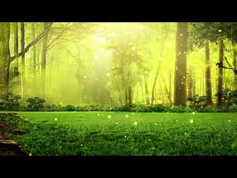 Rahla - Sonnenschein