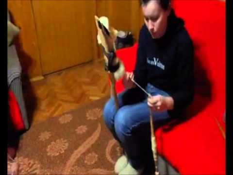 predenje vune - YouTube