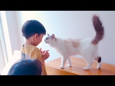 치순이와 콩이의 진짜 집사들이 찾아왔어요!