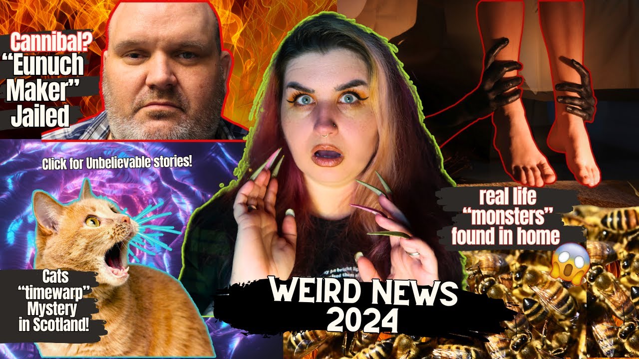 Weird News May 2024 | Monster Bees, Cannibal Scandal & Mysterious Missing Cats! - YouTube