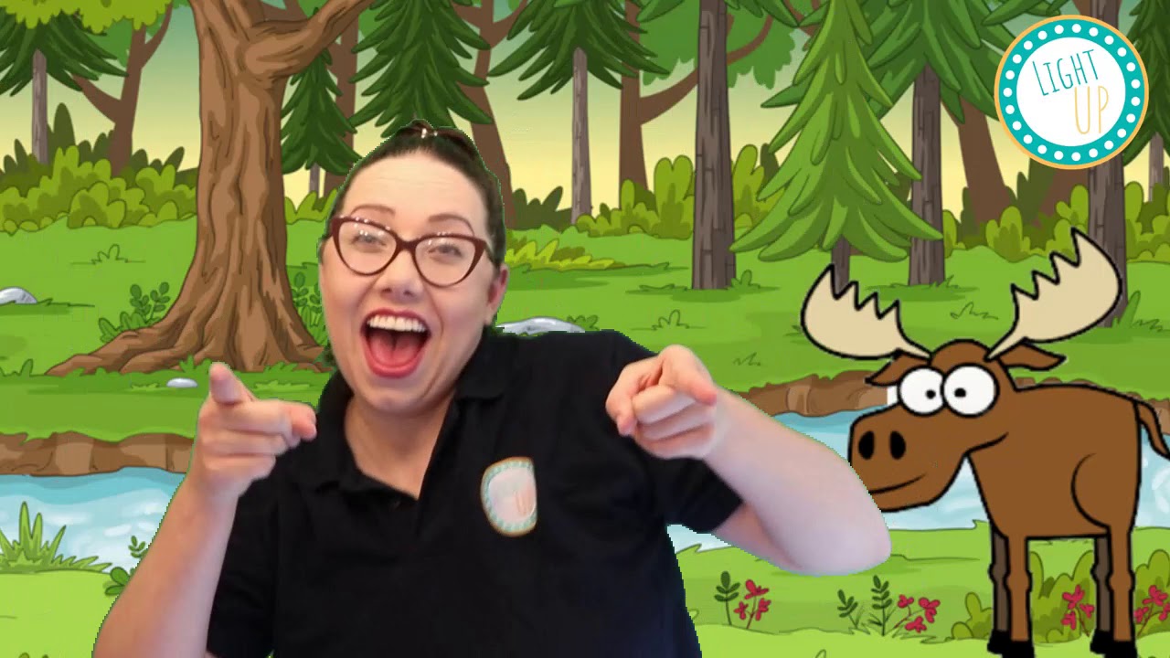 Crazy Moose Song - YouTube