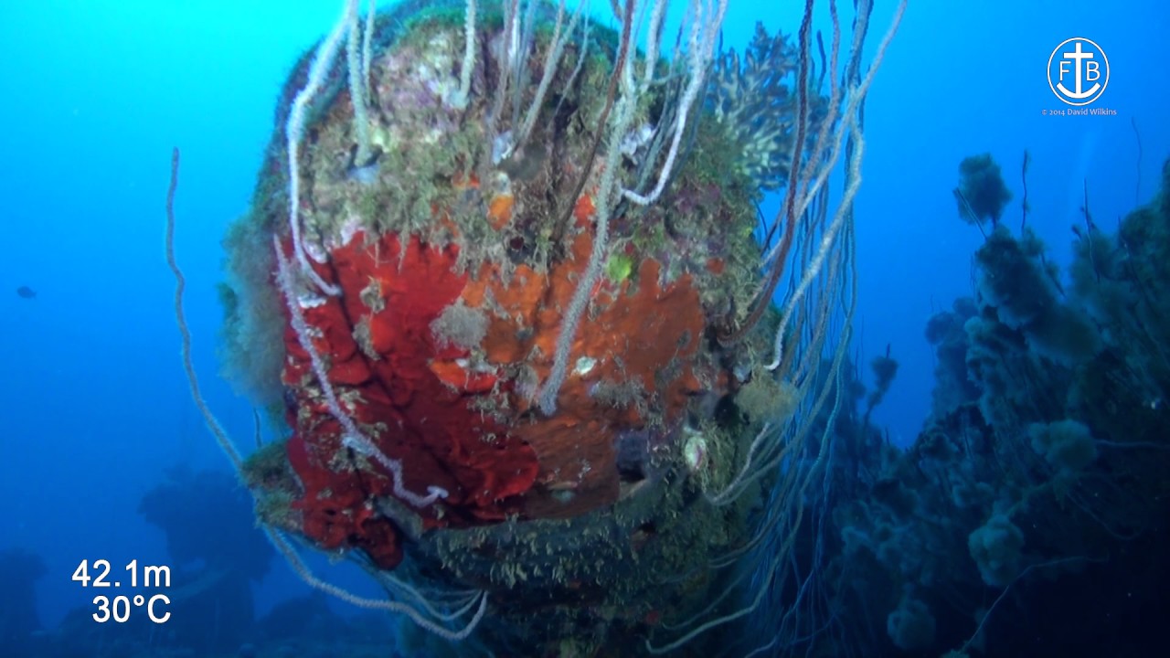 Destroyer USS Lamson (DD-367) at Bikini - 2014 footage - YouTube