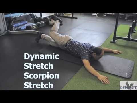 Dynamic Scorpion Stretch - YouTube