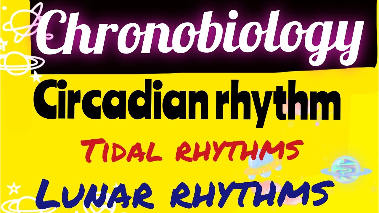 Chronobiology || Circadian rhythms | Tidal rhythms | Lunar rhythms ...