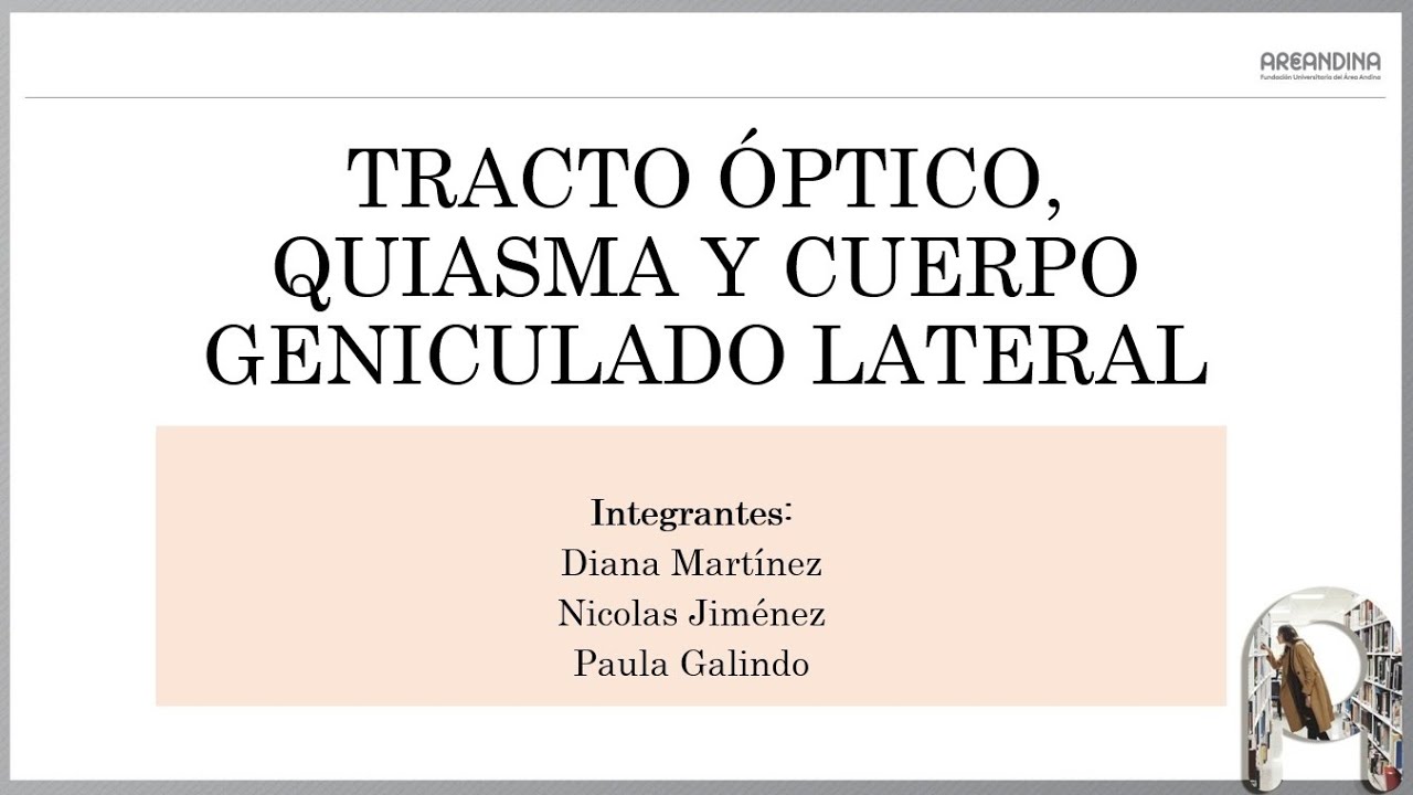 Descripción del Tracto óptico, quiasma y cuerpo geniculado lateral ...