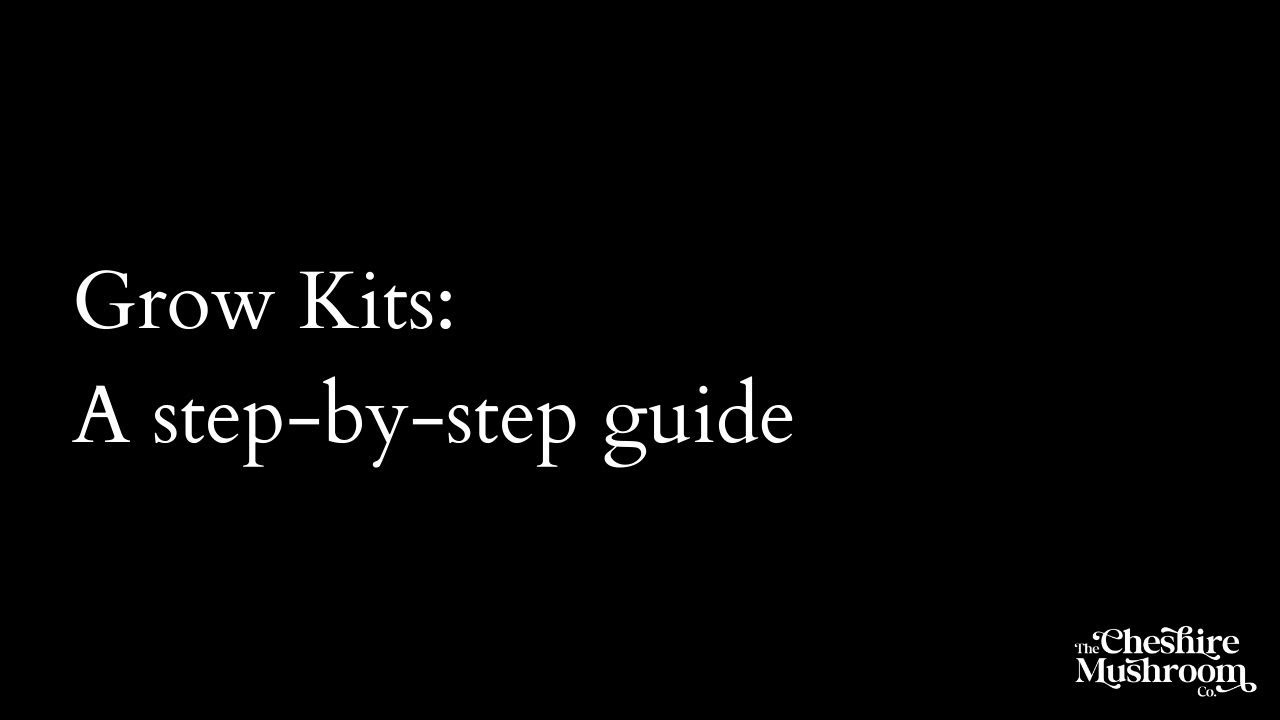 Grow Kits: A Step by Step Guide - YouTube
