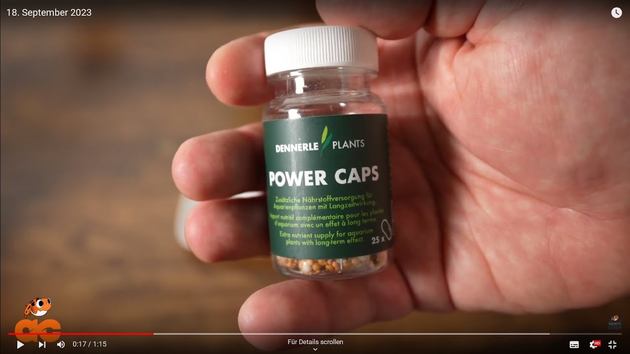 Dennerle Plants Power Caps / Aquaristik Center - YouTube