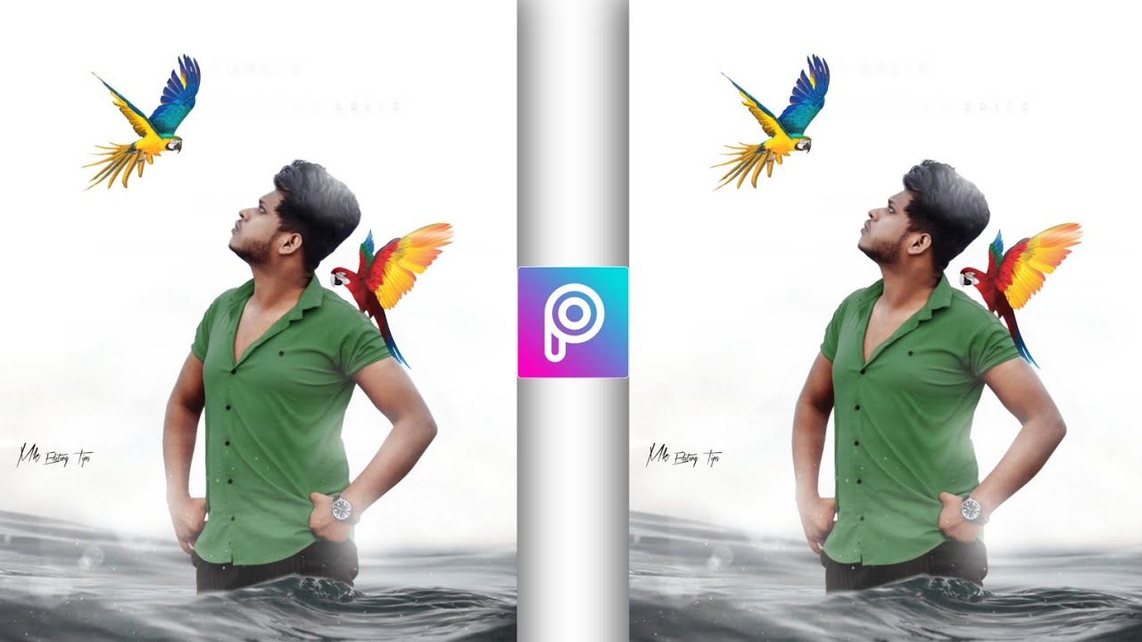 Picsart Bird Lover photo editing tutorial picsart creative bird on ...
