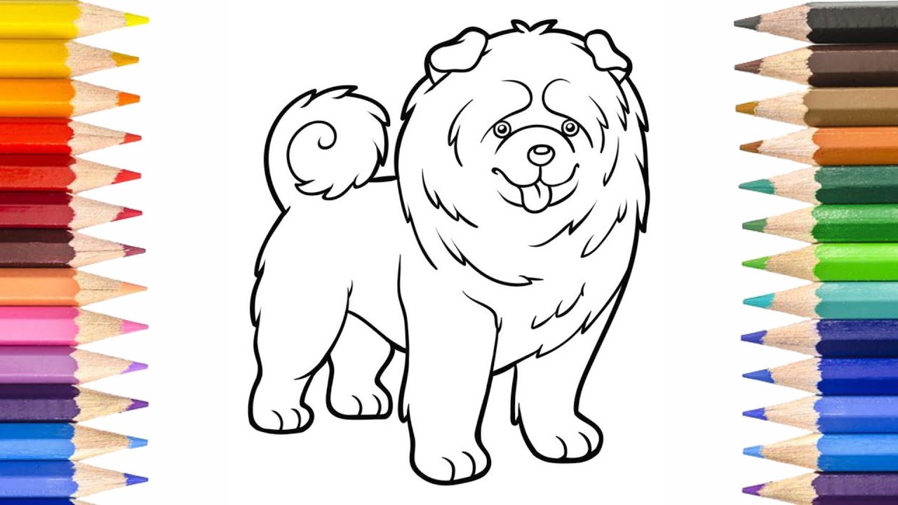 How To Draw Chow Chow Dog | Easy Dog Drawing For Kids| Learn to Draw ...