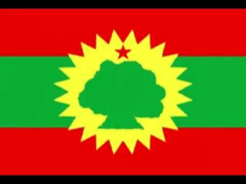 Hacaalu Hundessa new oromo song 2013 emmole yaa garba cisaa - YouTube