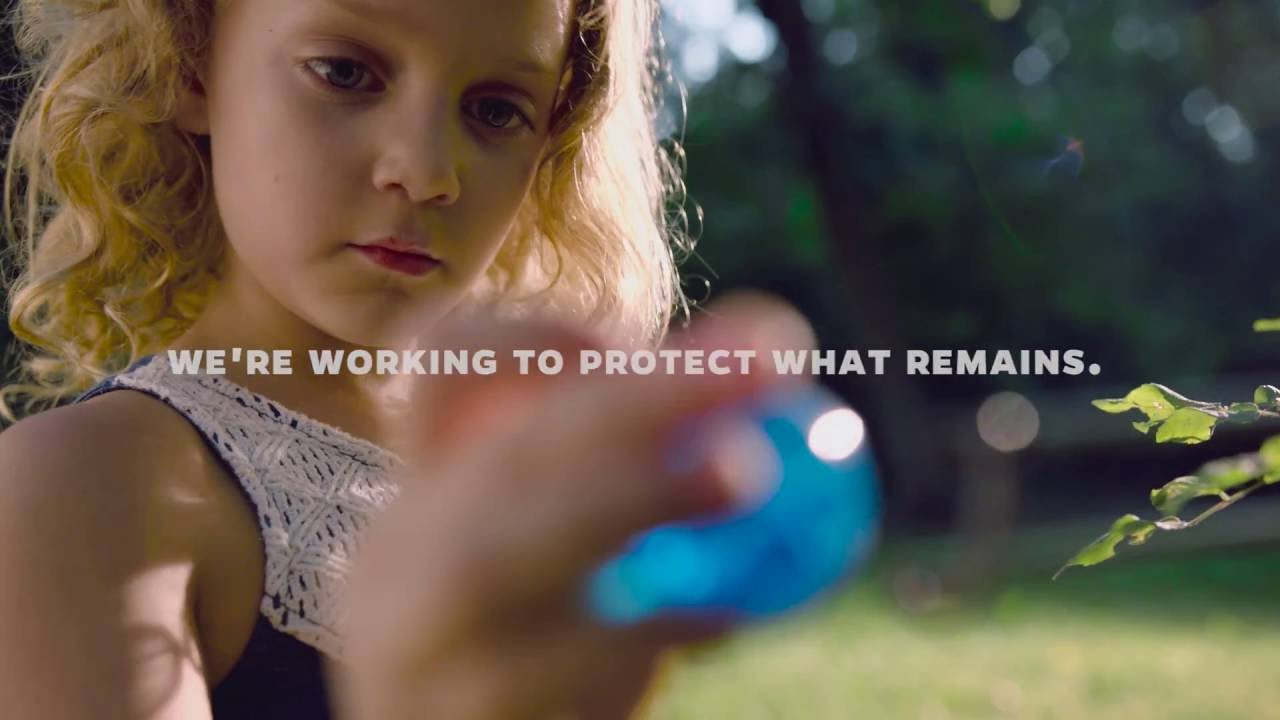 We all play a part for the greater good. #GatorGood - YouTube