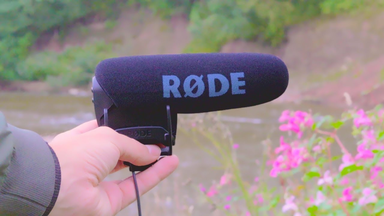 Rode Videomic Pro in 2019 - Test for Canon 250D & iPhone - YouTube
