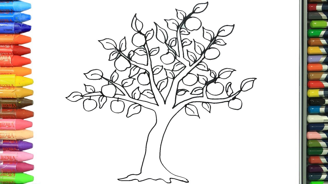 Learn Colors with Coloring Book Apple Tree | How to Draw and Color ...