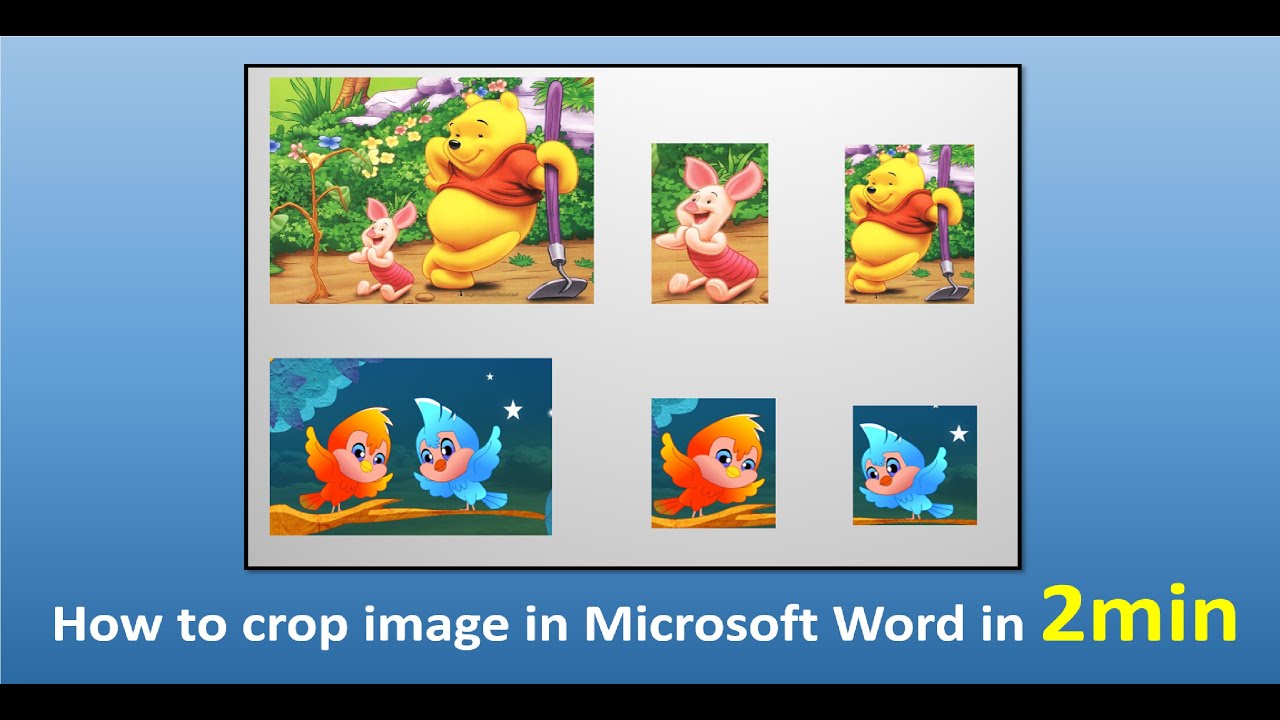 How To Crop Image In Word Crop Picture In Microsoft Word Document how-to-crop-image-in-word-crop-picture-in-microsoft-word-document