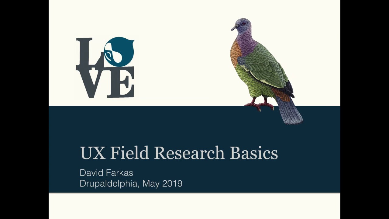 UX Field Research Basics - YouTube