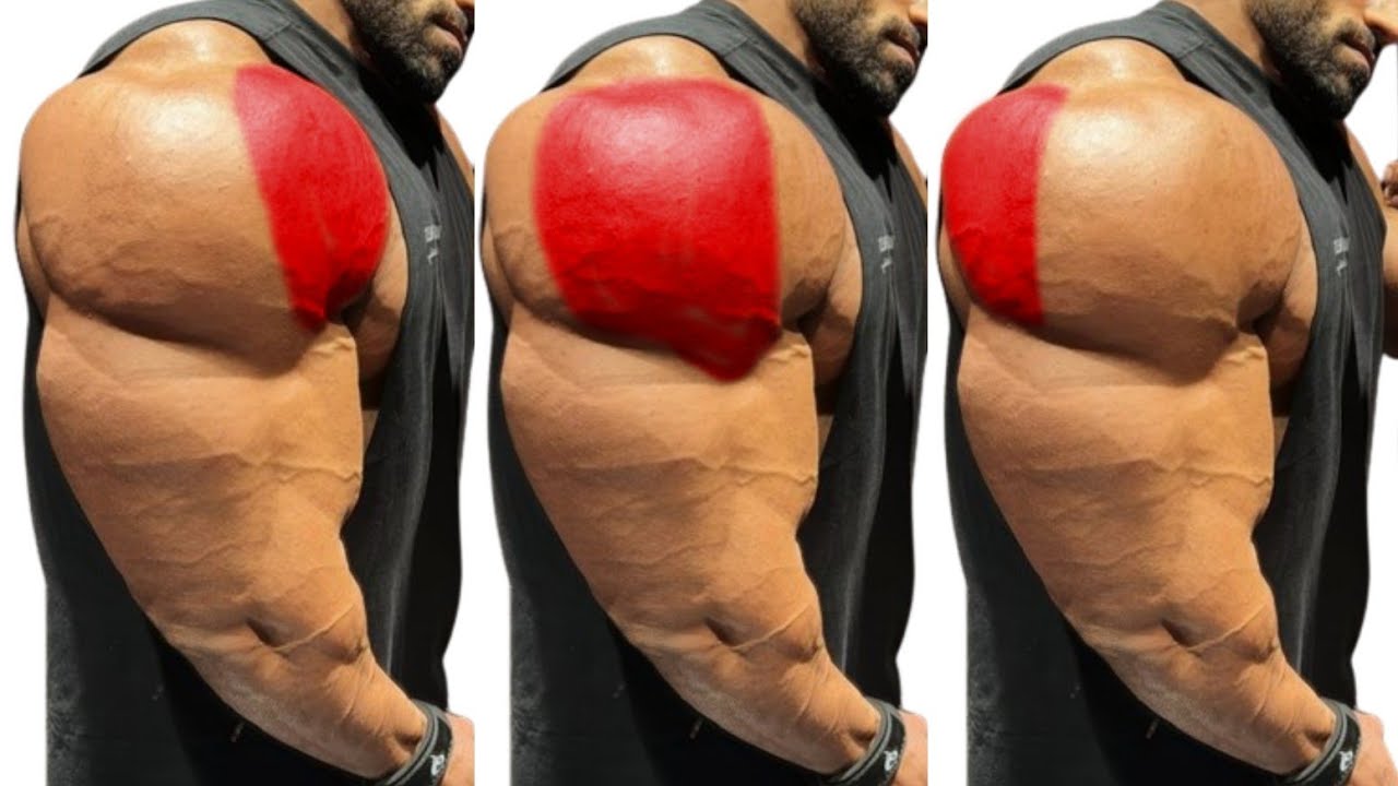 Top3 Step For Front Side and Rear Delt Workout To Build Bigger - YouTube