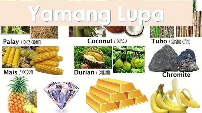 Yamang Gubat Pinagkukunang Yaman Ng Pilipinas