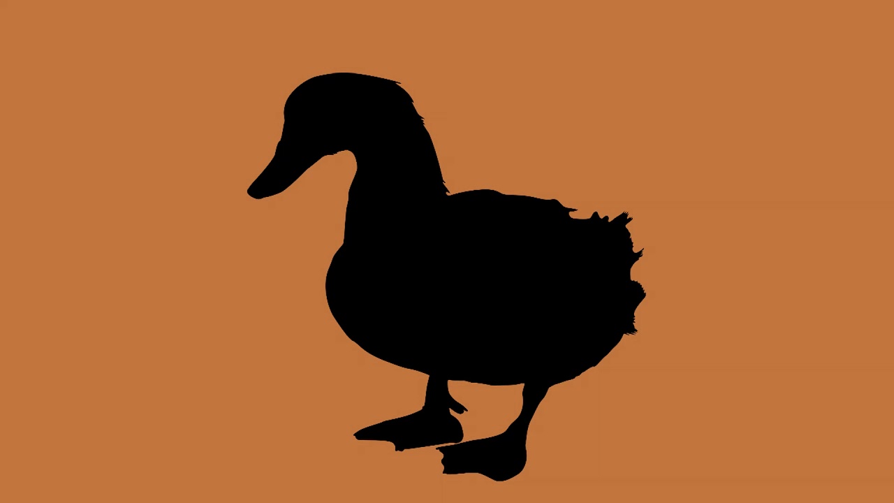 ROAST DUCK (by Dolan Dark & Colossal Is Crazy) - YouTube