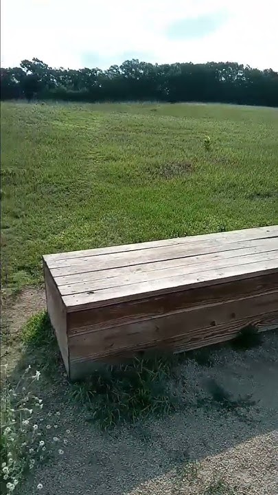 🐍 Youtube