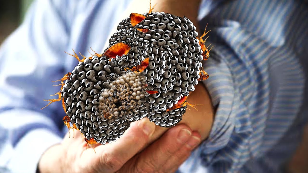 ASMR removal trypophobia infected hand elbow | ASMR hand treatment ...