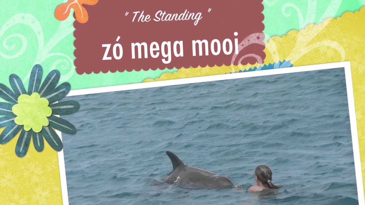 Zoe & the Dolphins 14-06-14 - YouTube