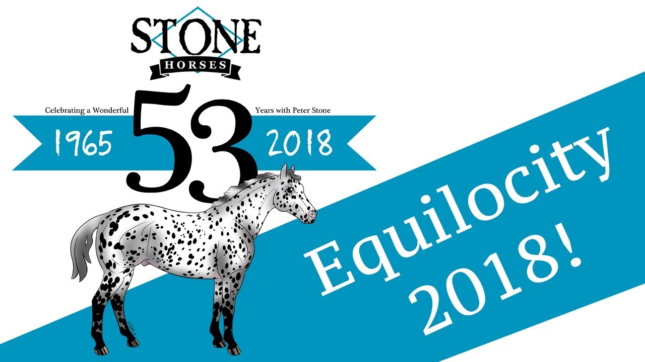 Equilocity 2018 - 53 Years of Peter Stone & Model Horses - YouTube