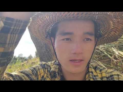 hnub no peb mu pauj zog hlai nplej dua nawb thiab lo hu nkauj ua si dua - YouTube