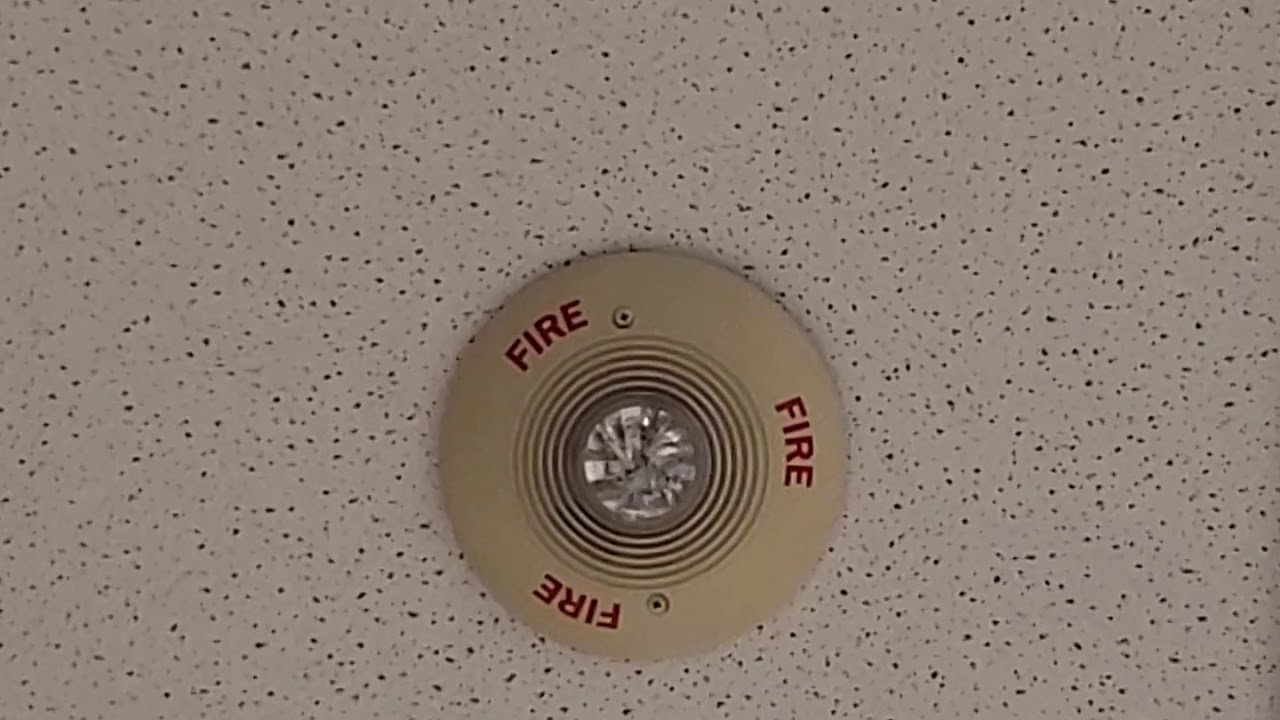 Spectralert Fire Alarm Horn Ceiling Mount at Target - YouTube