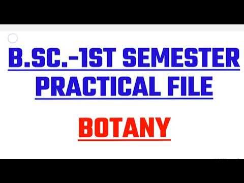 B.Sc. first semester practical file botany part 2 - YouTube